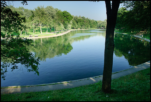 L’étang du parc La Fontaine se refait une beauté